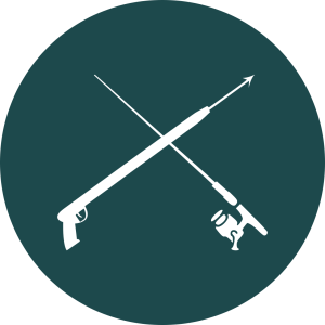 HOME - KEY WEST CHARTERS - Captain Rio's Charters